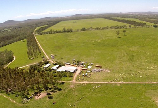 Timing right for Queensland farm sales