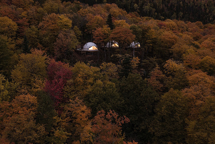 Forest domes take eco-hotels to new heights