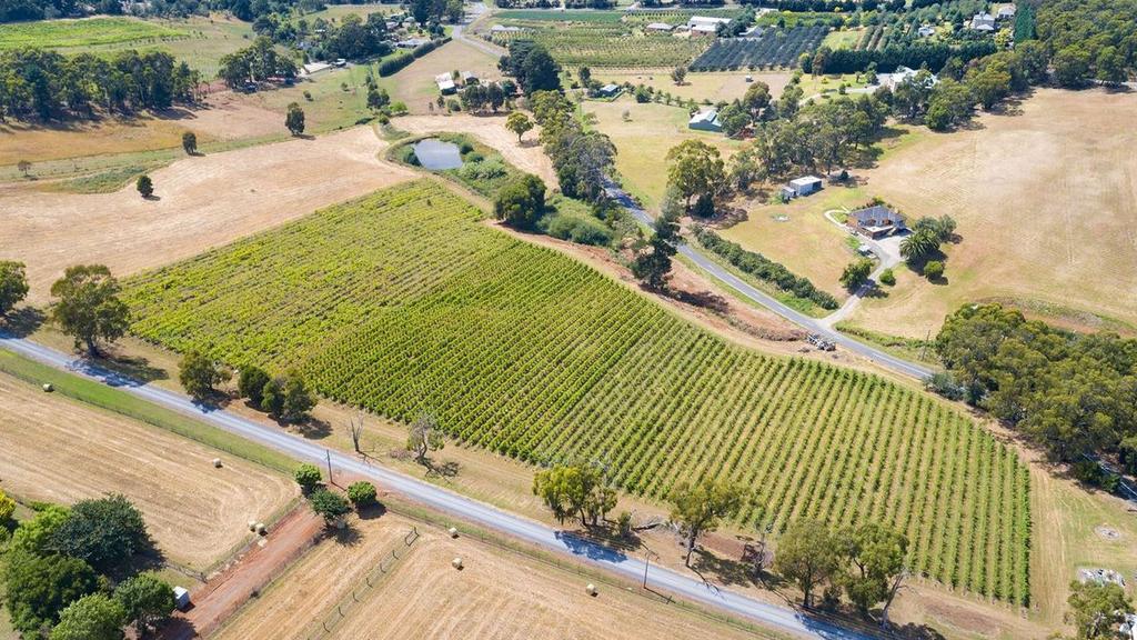 Boutique Yarra Ranges winery has grape expectations