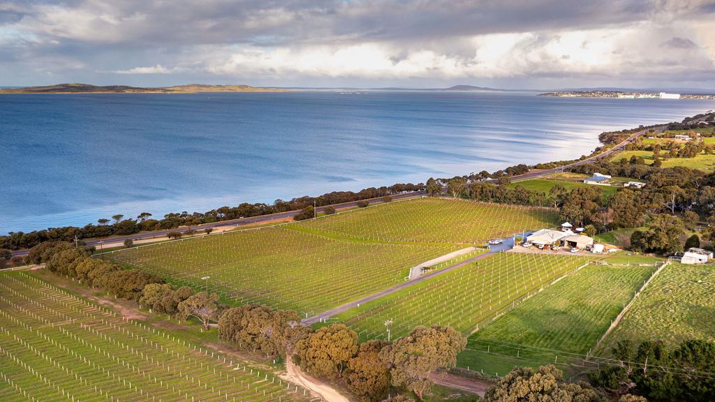 A vine reason for a seachange as Boston Bay Wines near Port Lincoln ...