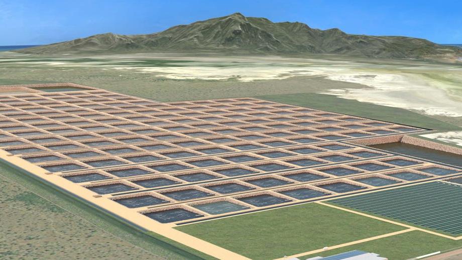 Massive Queensland prawn farm listed for sale