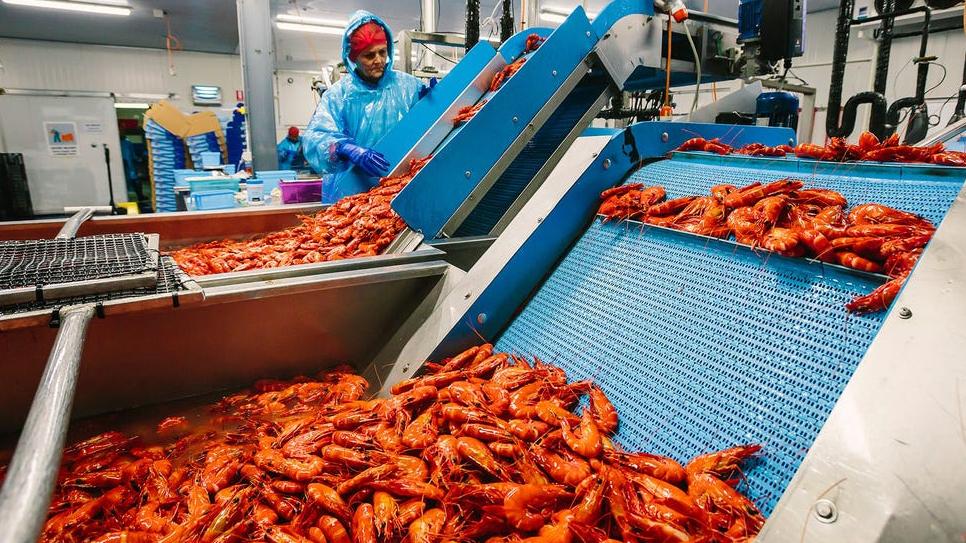 Massive Queensland prawn farm listed for sale