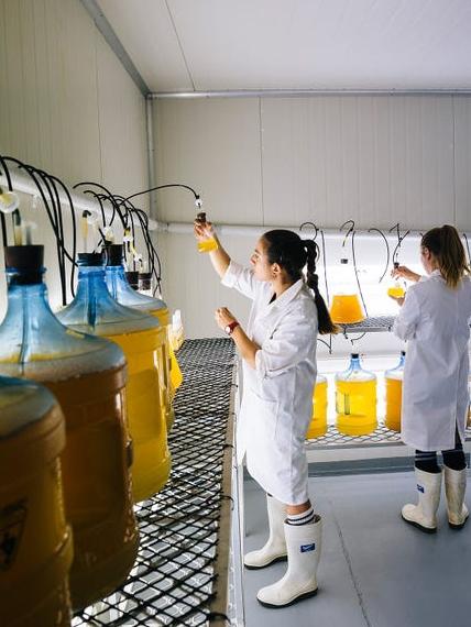 Massive Queensland prawn farm listed for sale