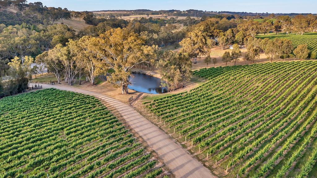 Premium vineyard in Adelaide Hills ripe for picking
