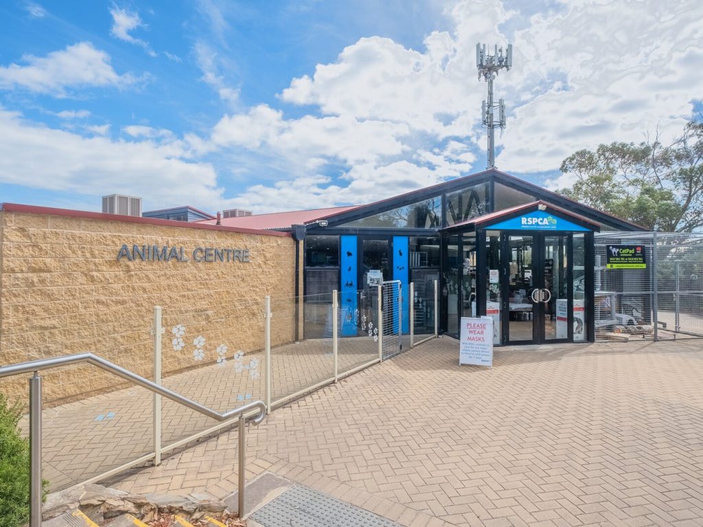 RSPCA Selling SA Properties to Help Fund its New Home