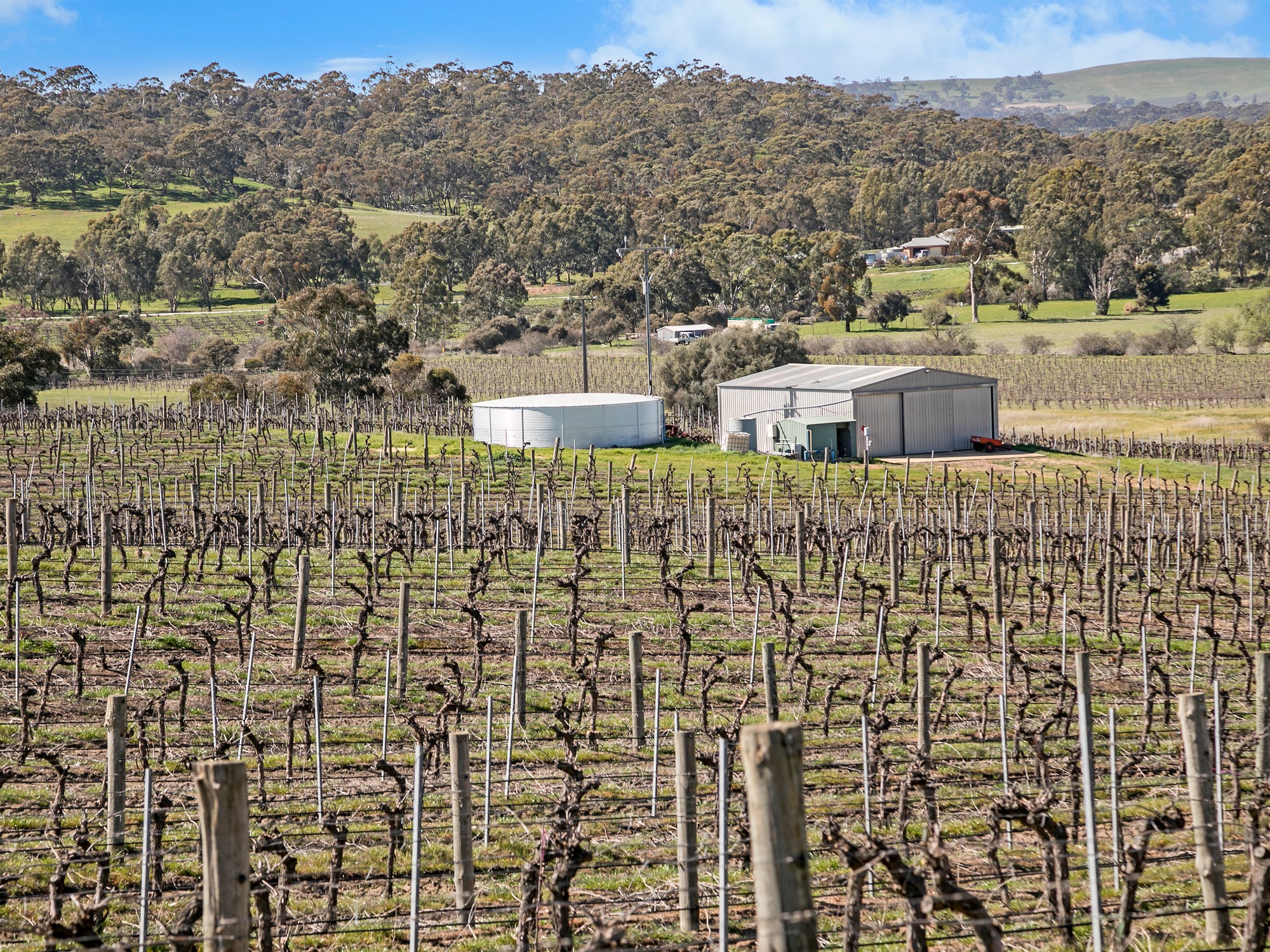 Australian wineries luring diverse and thirsty buyer pool