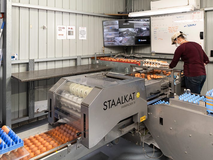 Egg Industry Pressures might Boil Over into Industry Consolidation