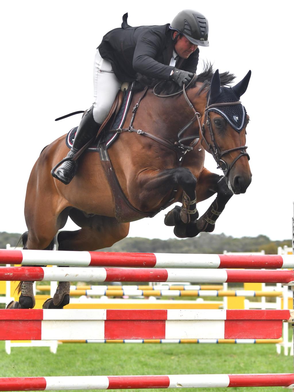 Boneo Park: Mornington Peninsula equestrian centre, restaurant and ...