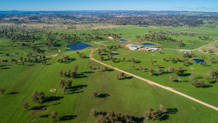 Investors look to milk $25m Walcha Dairy farm for profit