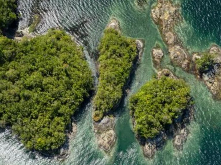 $54m ‘climate change resistant’ island for sale